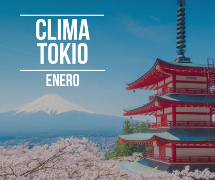 El Tiempo en Tokio | Estaciones y Meses • 【Japón】 ⛩️