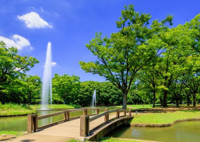 El Tiempo en Tokio | Estaciones y Meses • 【Japón】 ⛩️