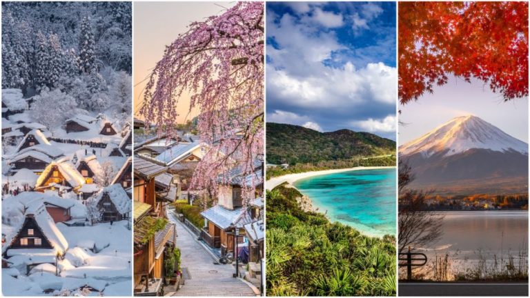Clima en Japón ⇒ 【¡Todo Sobre las 4 Estaciones!】 ⛩️