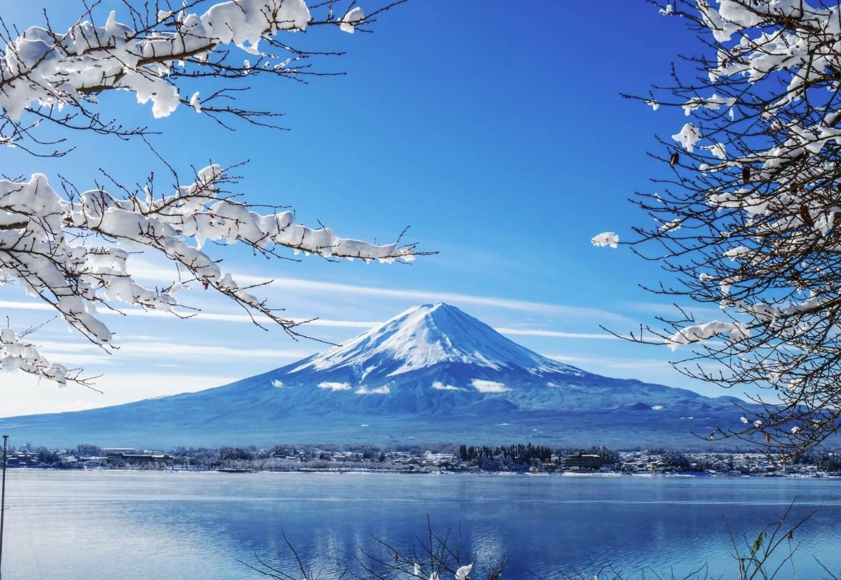 ¿Cuál es la Mejor Época para Viajar a Japón? 【Guía】 ⛩️