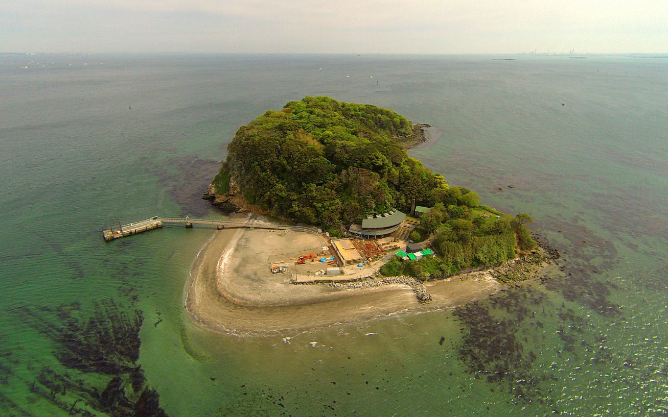 5 Islas de Japón Secretas ⇒ 【¡Poco Turísticas!】 ⛩️