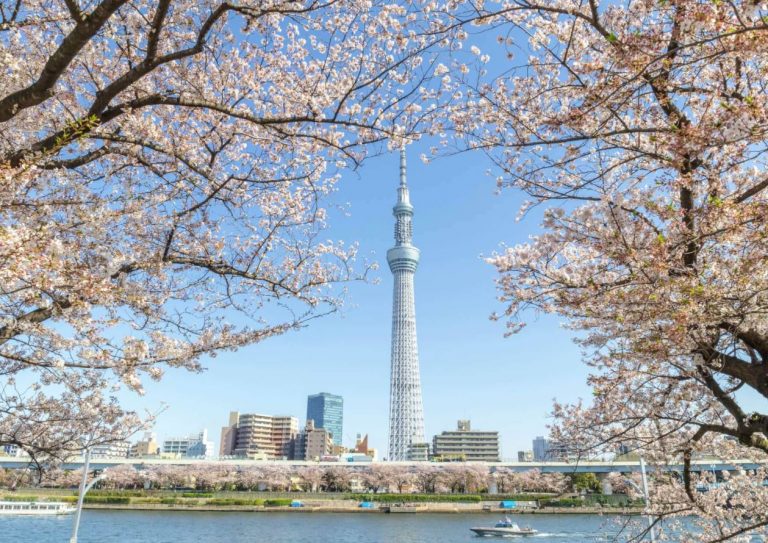 Los 10 Mejores Jardines y Parques de Tokio 【Guía】 ⛩️