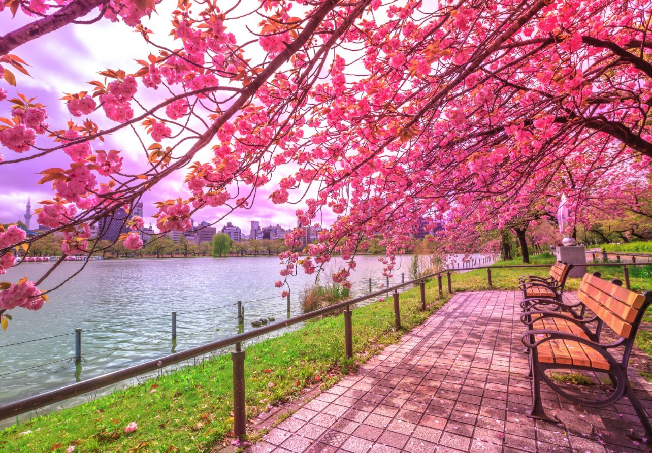 Los 10 Mejores Jardines y Parques de Tokio 【Guía】 ⛩️