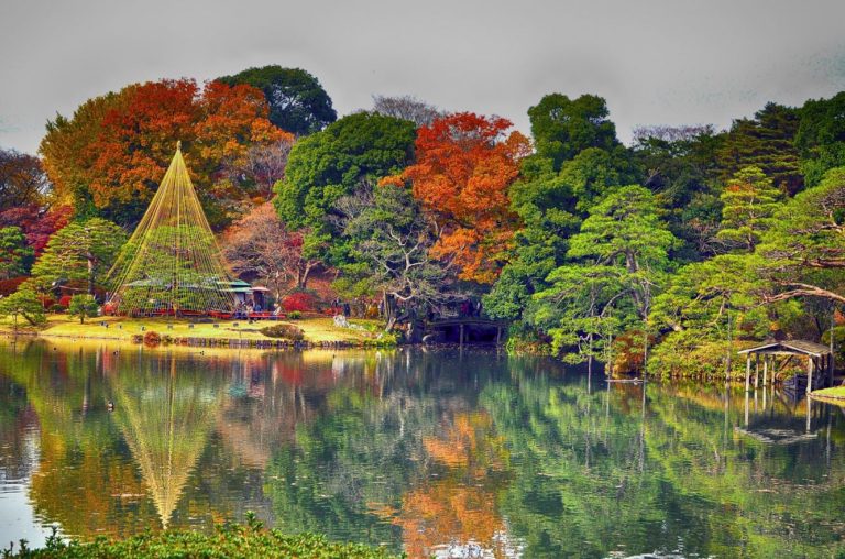 Los 10 Mejores Jardines y Parques de Tokio 【Guía】 ⛩️