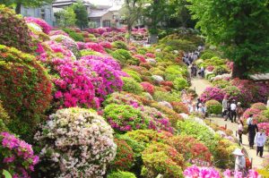 Los 10 Mejores Jardines y Parques de Tokio 【Guía】 ⛩️