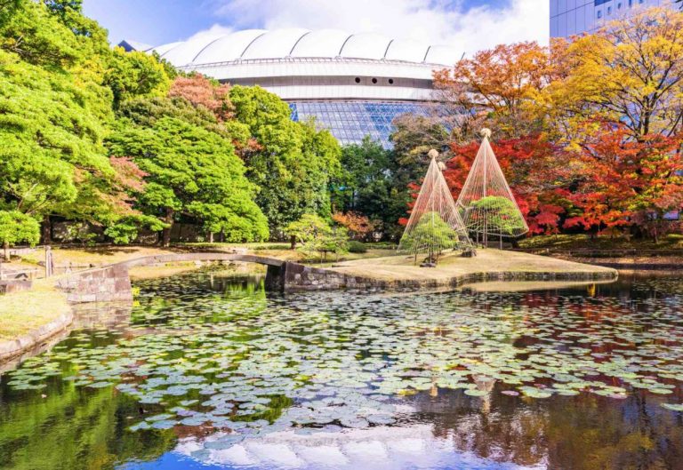 Los 10 Mejores Jardines y Parques de Tokio 【Guía】 ⛩️