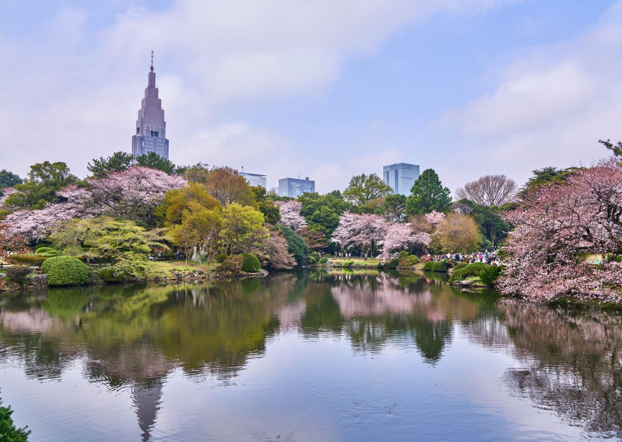 Los 10 Mejores Jardines y Parques de Tokio 【Guía】 ⛩️