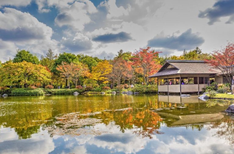 Los 10 Mejores Jardines y Parques de Tokio 【Guía】 ⛩️