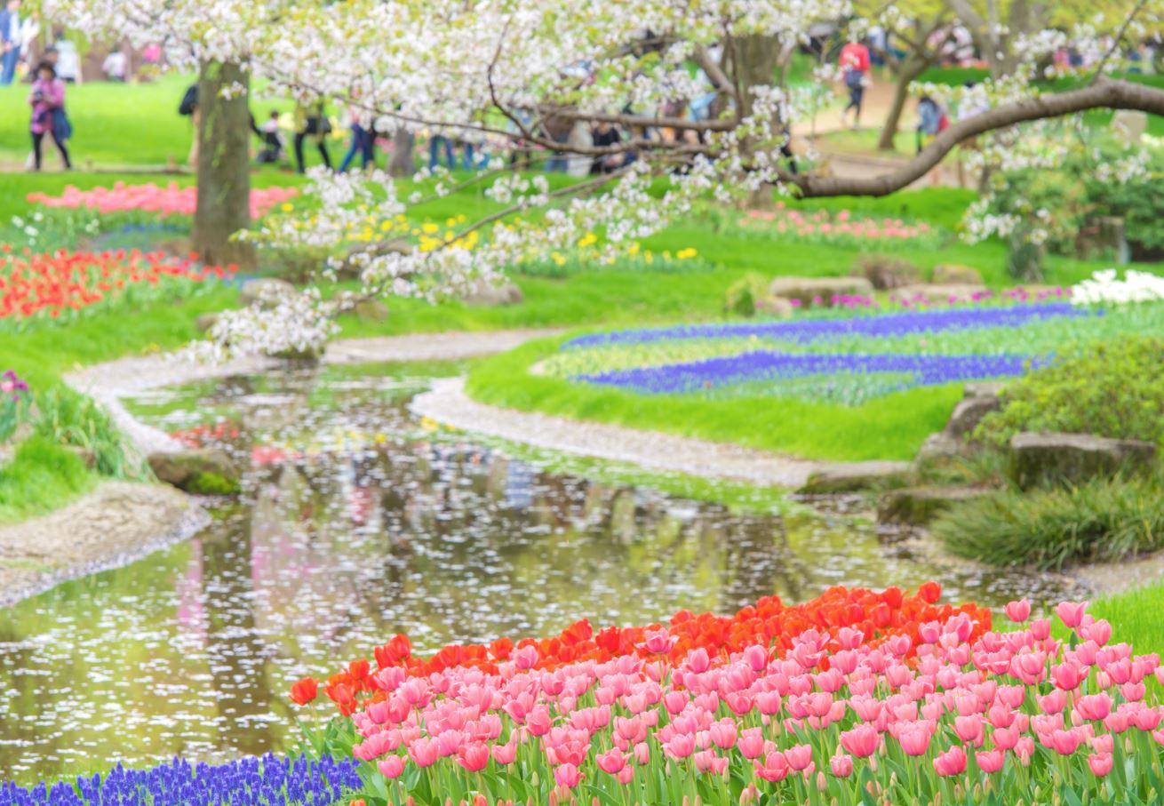 Los 10 Mejores Jardines y Parques de Tokio 【Guía】 ⛩️