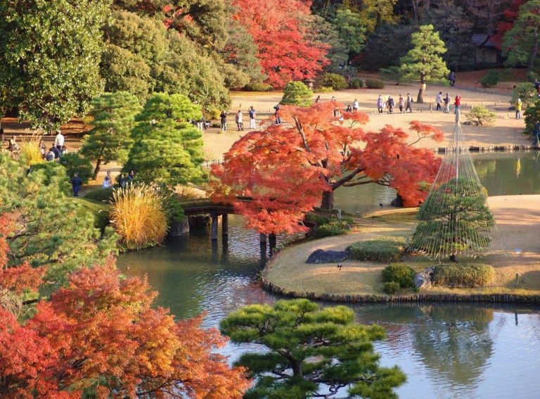 Los 10 Mejores Jardines y Parques de Tokio 【Guía】 ⛩️