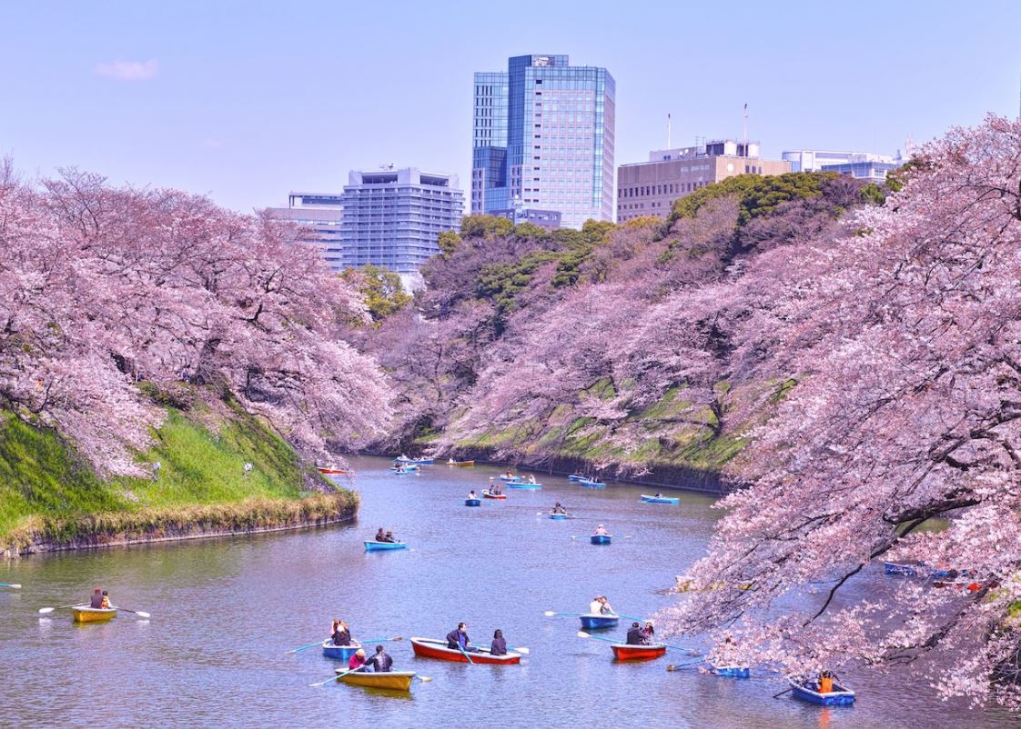 Los 10 Mejores Jardines y Parques de Tokio 【Guía】 ⛩️