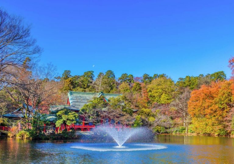 Los 10 Mejores Jardines y Parques de Tokio 【Guía】 ⛩️