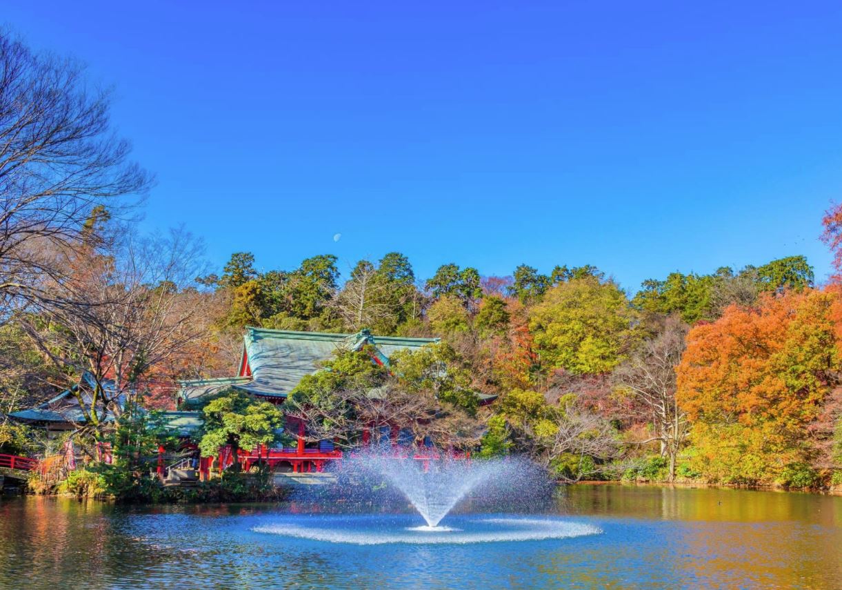 Los 10 Mejores Jardines y Parques de Tokio 【Guía】 ⛩️