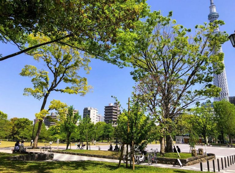 Los 10 Mejores Jardines y Parques de Tokio 【Guía】 ⛩️