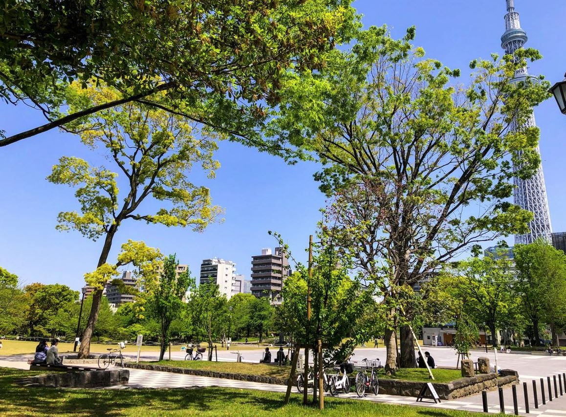 Los 10 Mejores Jardines y Parques de Tokio 【Guía】 ⛩️