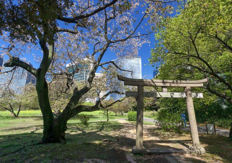 Los 10 Mejores Jardines y Parques de Tokio 【Guía】 ⛩️