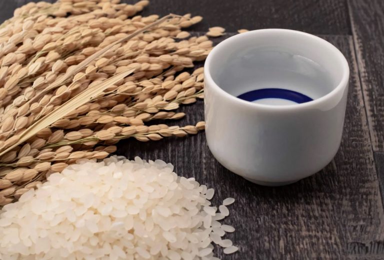 Sake Japonés ⇒ 【La Mejor Guía para Principiantes】 ⛩️