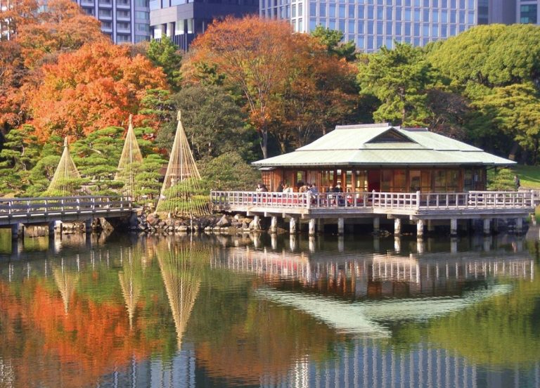 Los 10 Mejores Jardines y Parques de Tokio 【Guía】 ⛩️