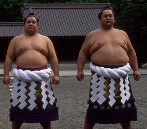 Los 16 Luchadores de Sumo Más Famosos de Japón ⛩️