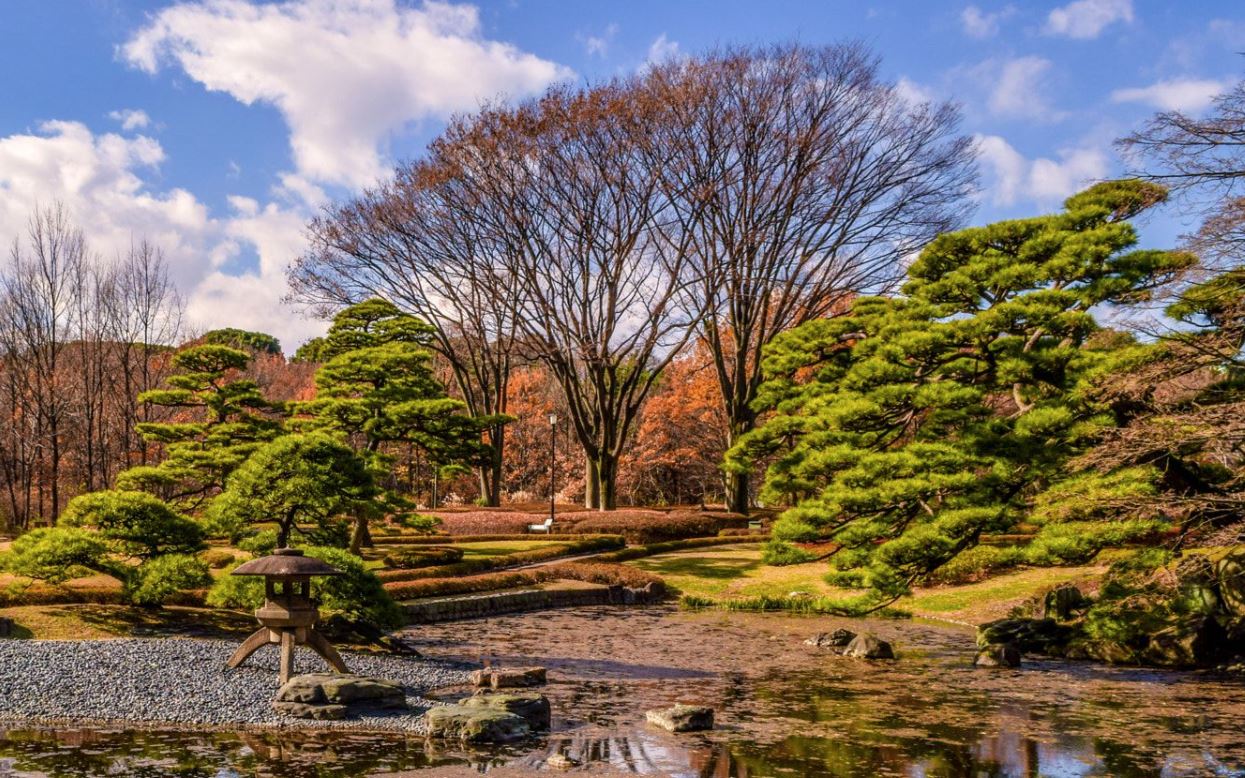 Los 10 Mejores Jardines y Parques de Tokio 【Guía】 ⛩️