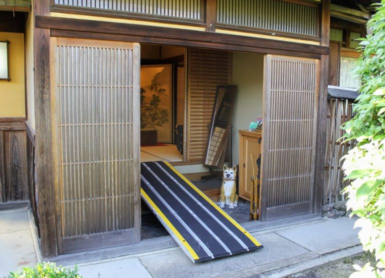 Ceremonia del Té en Japón ⇒ 【¡Guía Completa!】 ️