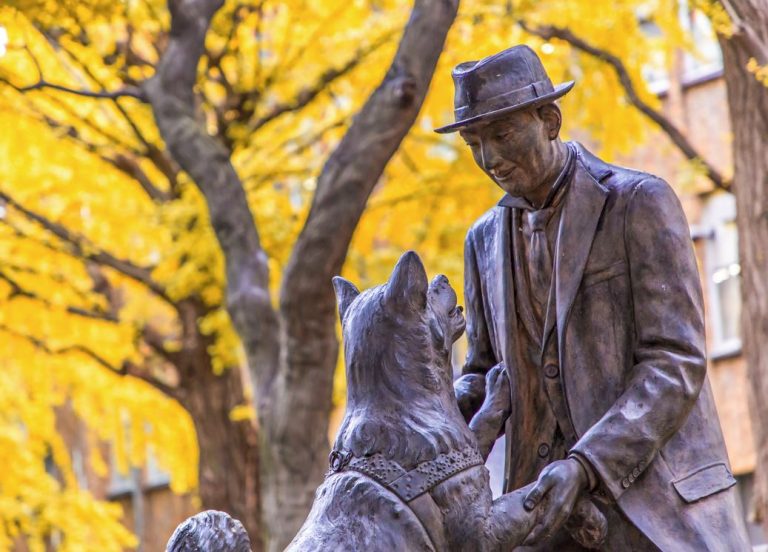 Estatua de Hachiko en Shibuya (Tokio) ⇒ 【¡Guía!】 ⛩️