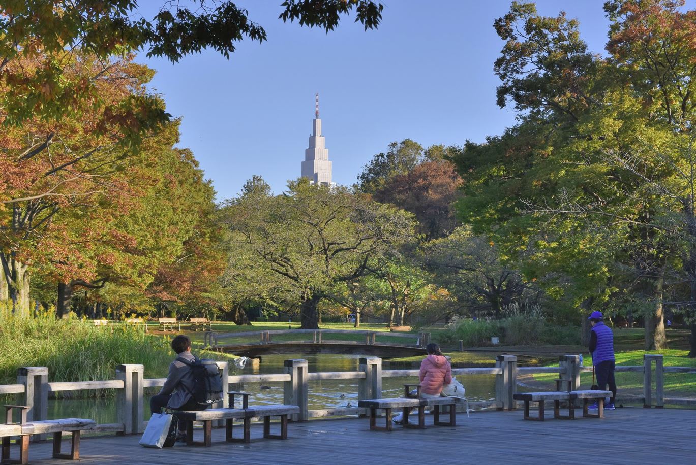 Parque Yoyogi en Tokio | El Parque Abierto 24 Horas ⛩️