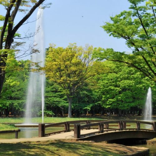Los 10 Mejores Jardines y Parques de Tokio 【Guía】 ⛩️