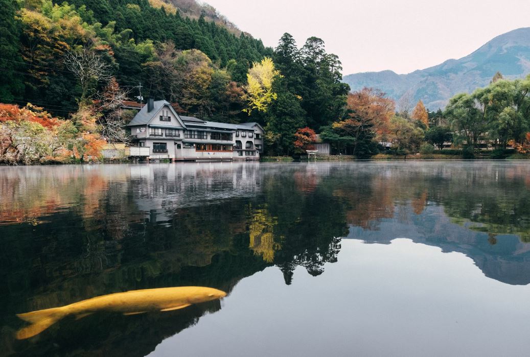 Itinerario de 7 Días en la Isla de Kyushu ⇒ 【¡Guía!】 ⛩️