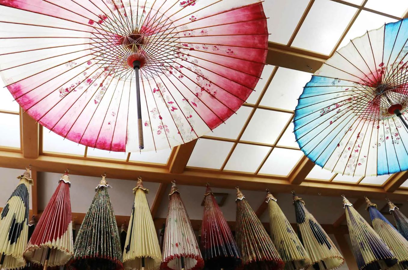 Wagasa; Los Paraguas Japoneses Tradicionales ⛩️