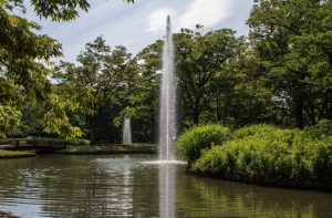 Parque Yoyogi en Tokio | El Parque Abierto 24 Horas ⛩️